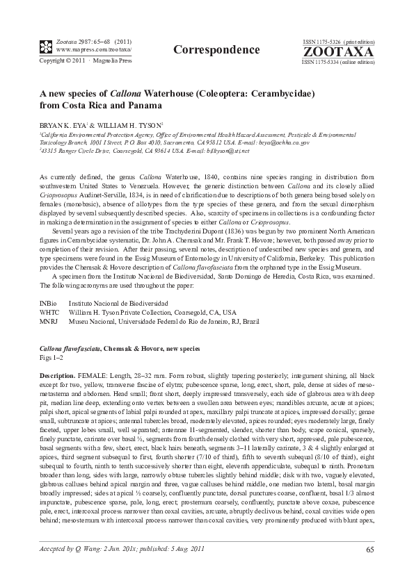 (PDF) A new species of Callona Waterhouse (Coleoptera: Cerambycidae ...