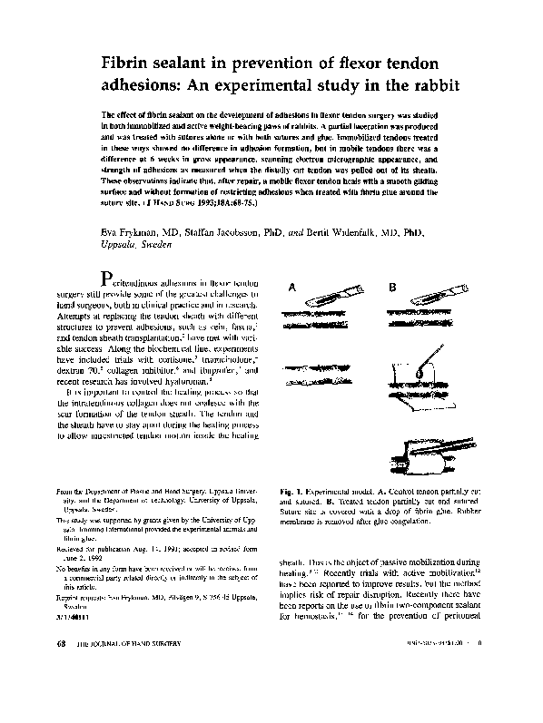 (PDF) Fibrin sealant in prevention of flexor tendon adhesions: An ...