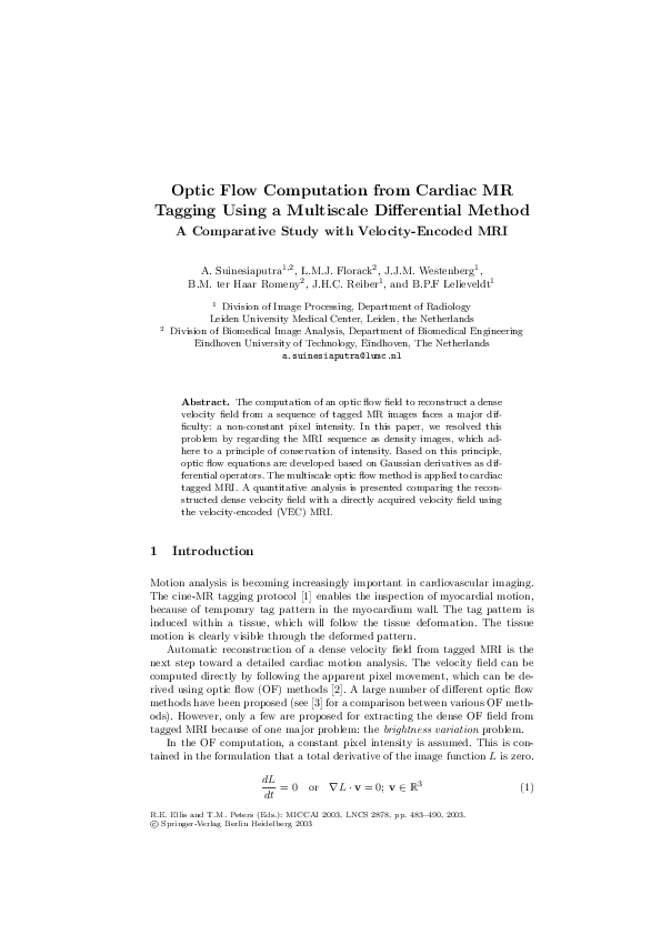 (PDF) Optic flow computation from cardiac MR tagging using a multiscale differential method-a ...