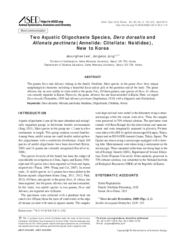 (PDF) Two Aquatic Oligochaete Species, Dero dorsalis and Allonais ...