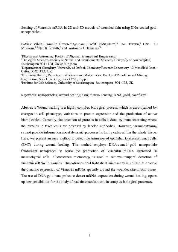 (DOC) Sensing of Vimentin mRNA in 2D and 3D Models of Wounded Skin ...