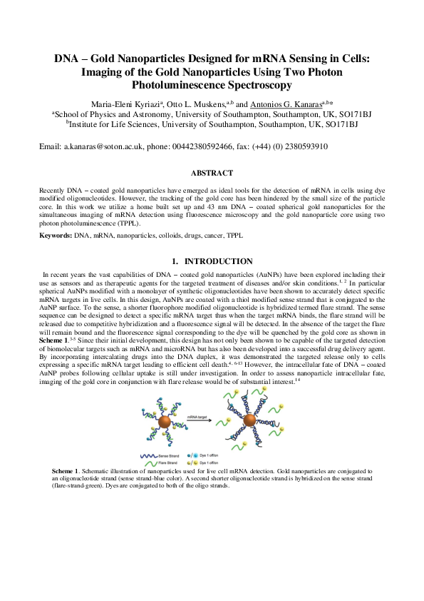 (PDF) DNA: Gold nanoparticles designed for mRNA sensing in cells ...