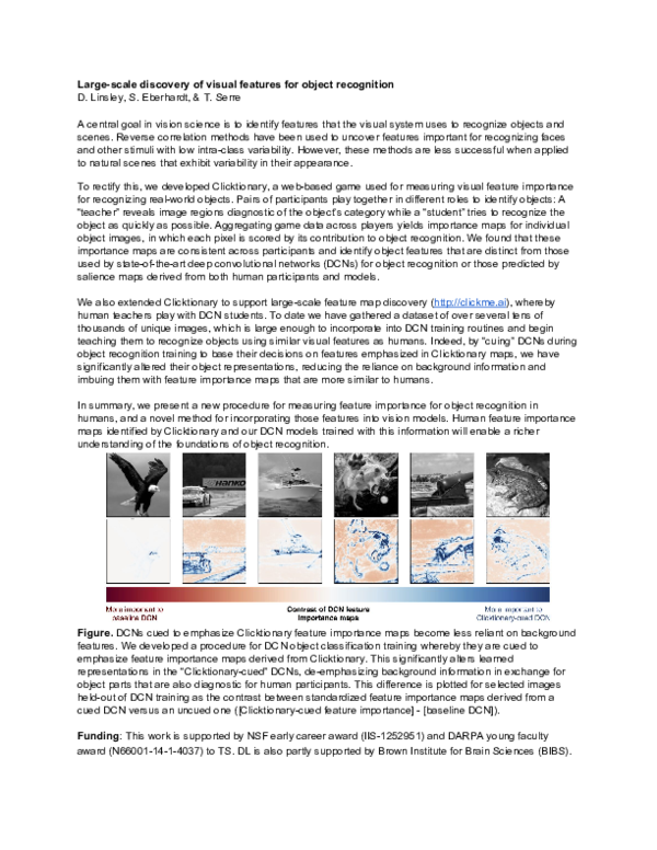 (PDF) Large-scale discovery of visual features for object recognition
