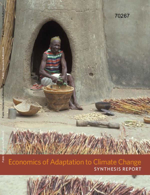 (PDF) Economics of Adaptation to Climate Change