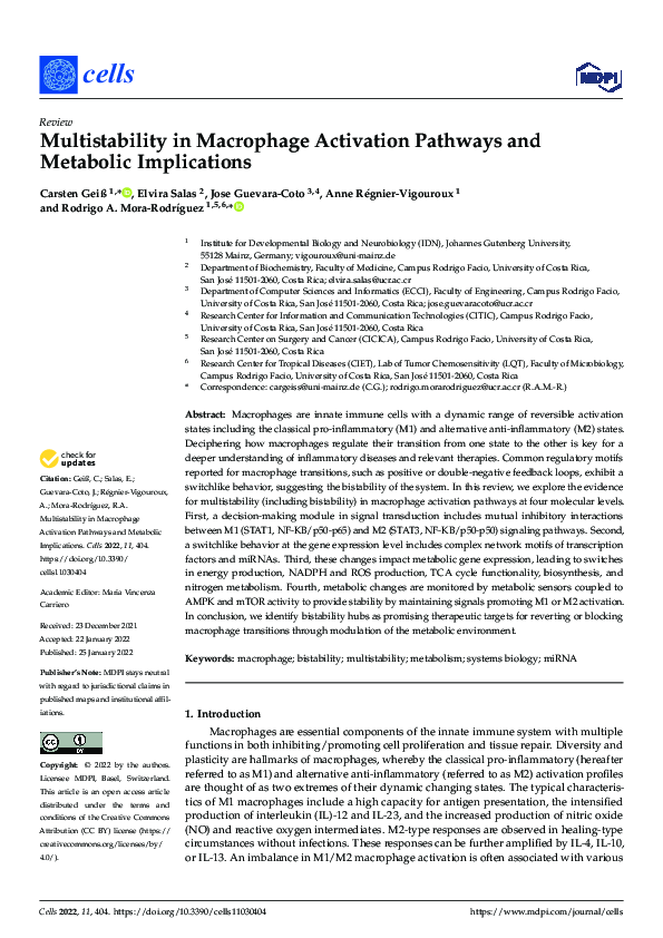 (PDF) Multistability in Macrophage Activation Pathways and Metabolic ...