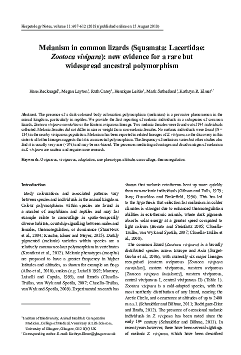 (PDF) Melanism in common lizards (Squamata: Lacertidae: Zootoca ...