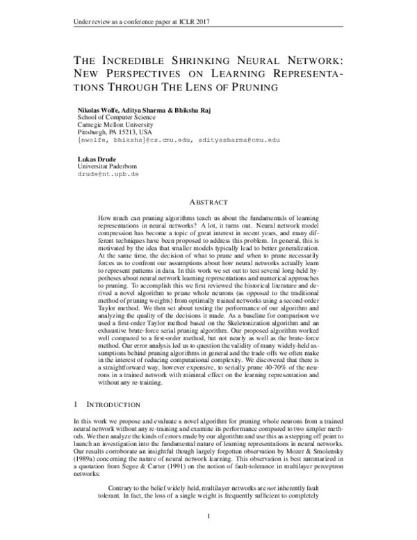 (PDF) The Incredible Shrinking Neural Network: New Perspectives