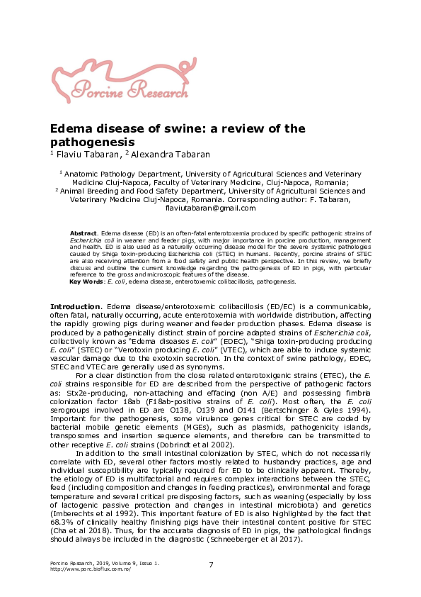 (PDF) Edema disease of swine: a review of the pathogenesis