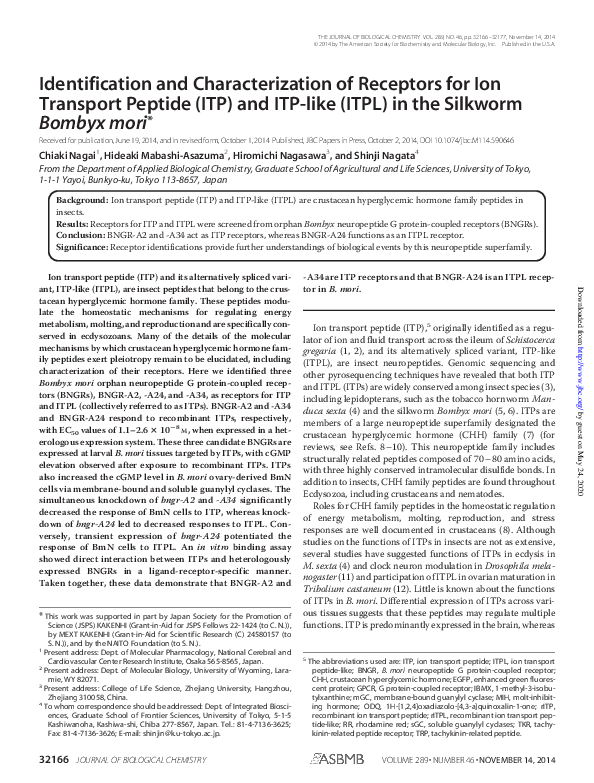 (PDF) Identification and Characterization of Receptors for Ion ...