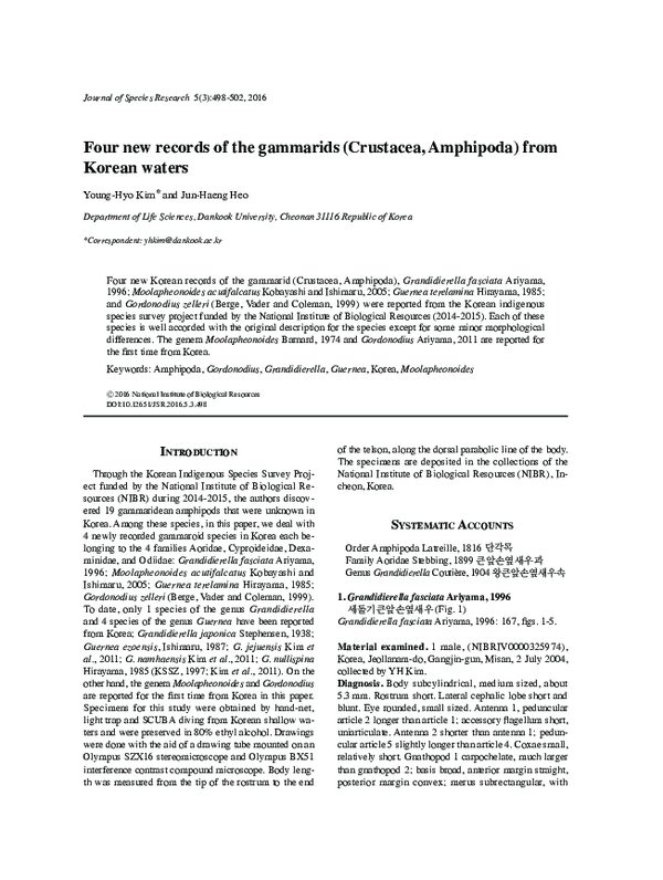 (PDF) Four new records of the gammarids (Crustacea, Amphipoda) from ...