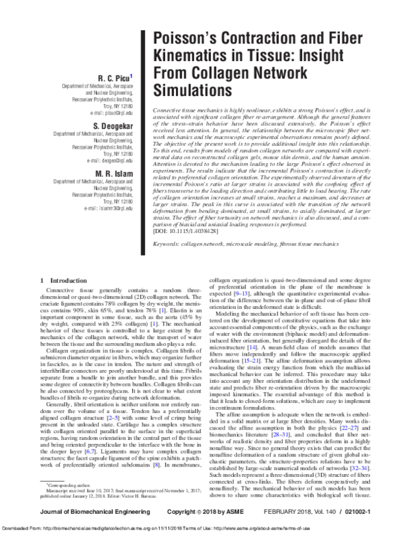 (PDF) Poisson's Contraction and Fiber Kinematics in Tissue: Insight ...