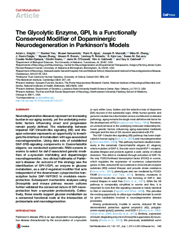 (PDF) The Glycolytic Enzyme, GPI, Is a Functionally Conserved Modifier ...