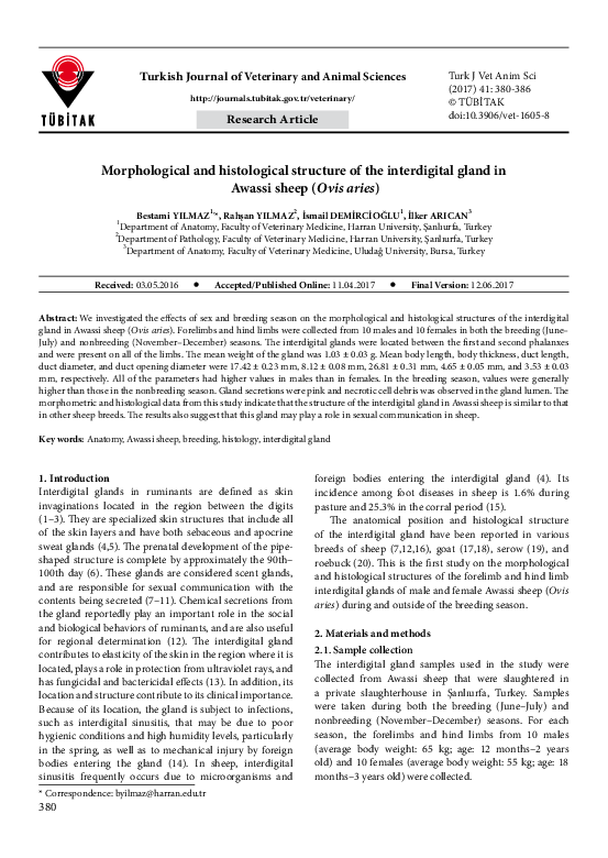 (PDF) Morphological and histological structure of the interdigital ...