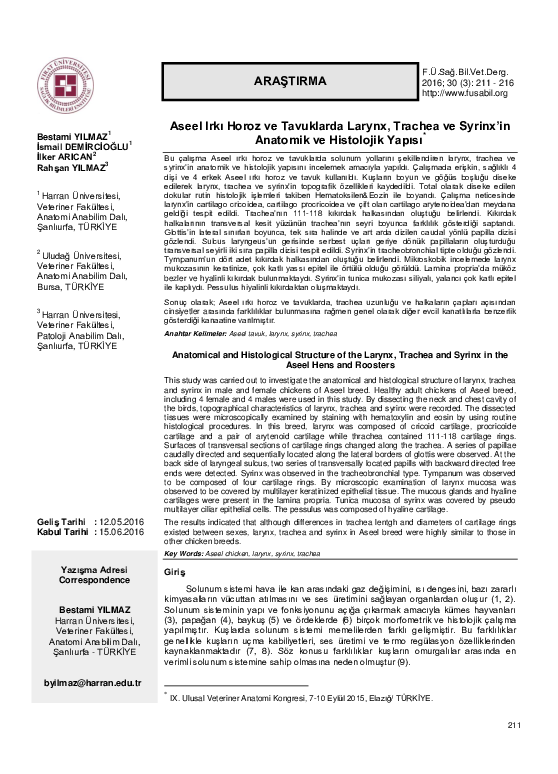 (PDF) Aseel Irkı Horoz ve Tavuklarda Larynx, Trachea ve Syrinx'in ...