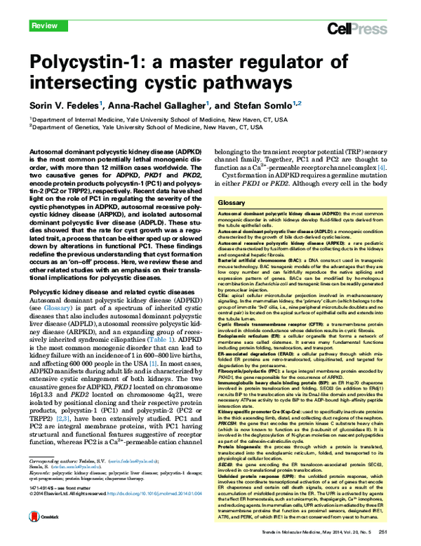 (PDF) Polycystin-1: a master regulator of intersecting cystic pathways