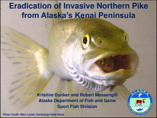 (PDF) Eradication of Invasive Northern Pike from Alaska's Kenai Peninsula