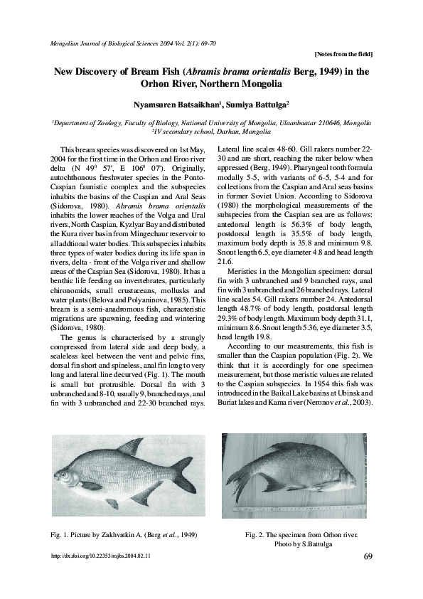 (PDF) New Discovery of Bream Fish (Abramis brama orientalis Berg, 1949 ...