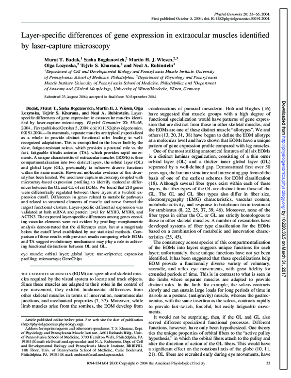 (PDF) Layer-specific differences of gene expression in extraocular ...