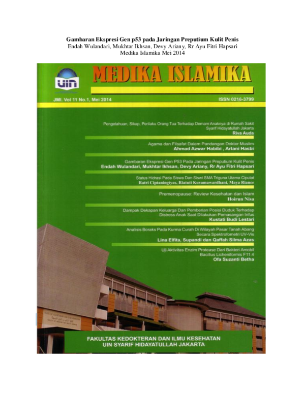 (PDF) Gambaran ekspresi gen p53 pada jaringan preputium kulit penis ...