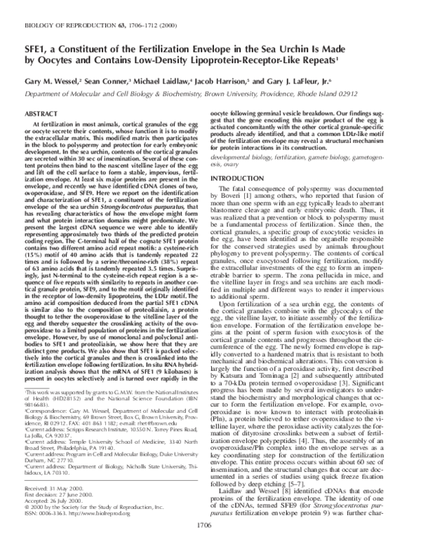 (PDF) SFE1, a constituent of the fertilization envelope in the sea ...