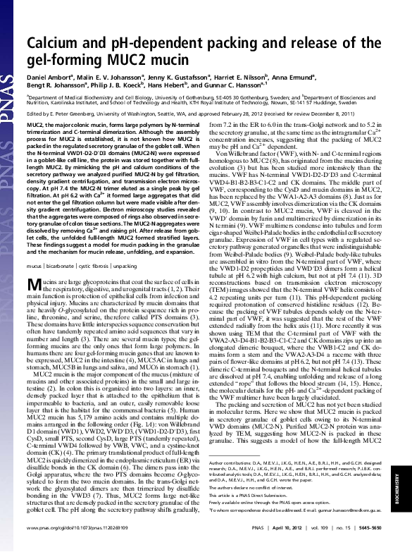 (PDF) Calcium and pH-dependent packing and release of the gel-forming ...