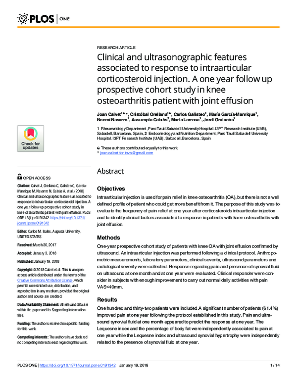 (PDF) Ultrasound guided injection of a painful knee osteoarthritis with ...