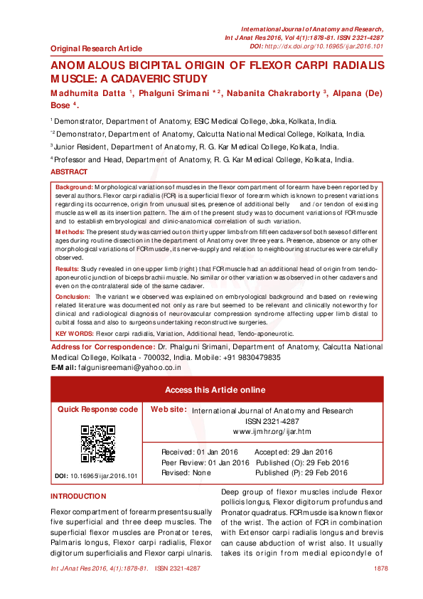 (PDF) Anomalous Bicipital Origin of Flexor Carpi Radialis Muscle: A ...