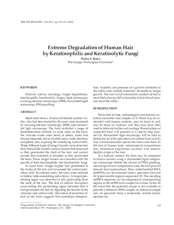 (PDF) Extreme Degradation of Human Hair by Keratinophilic and ...