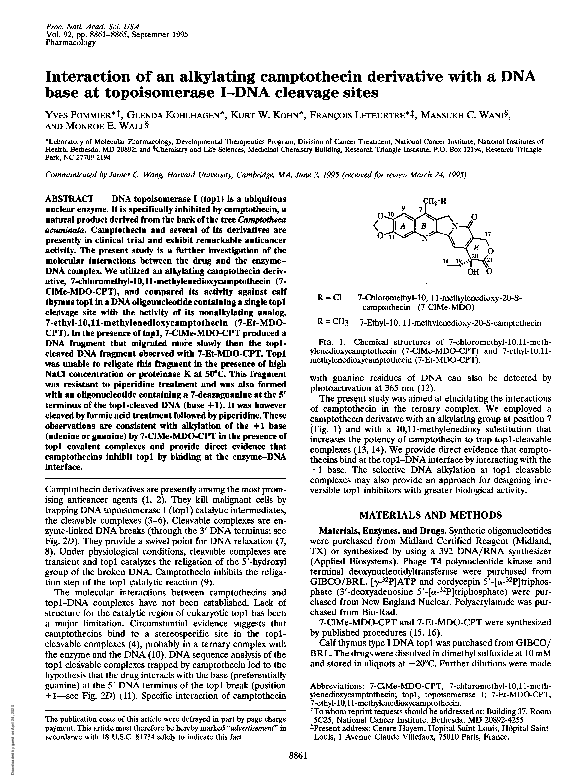 (PDF) Interaction of an alkylating camptothecin derivative with a DNA ...
