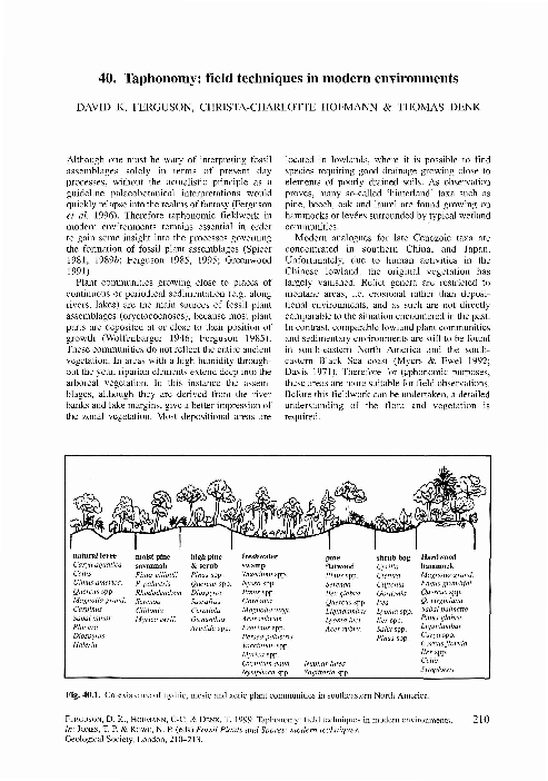 (PDF) Ferguson, D. K., Hofmann, C.-C., Denk, T. 1999. Taphonomy: field ...