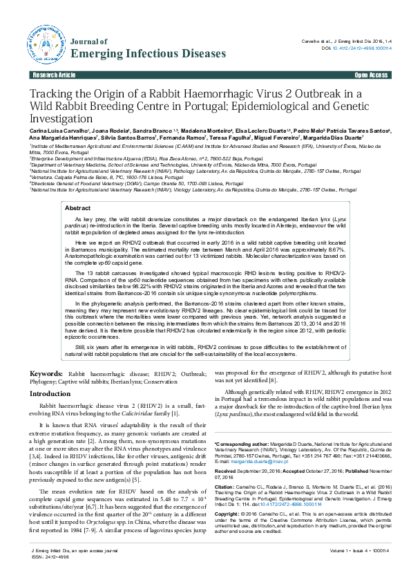 (PDF) A real time Taqman RT-PCR for the detection of rabbit hemorrhagic disease virus 2 (RHDV2)
