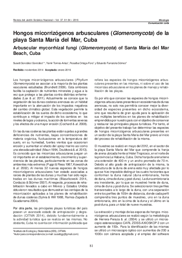 (PDF) Hongos micorrizógenos arbusculares (Glomeromycota) de la playa ...