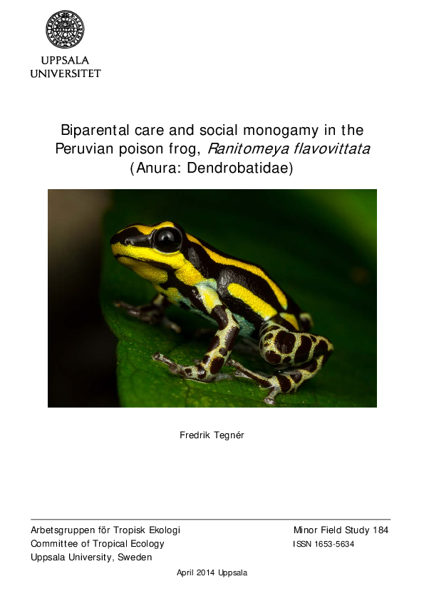 (PDF) Biparental care and social monogamy in the Peruvian poison frog ...