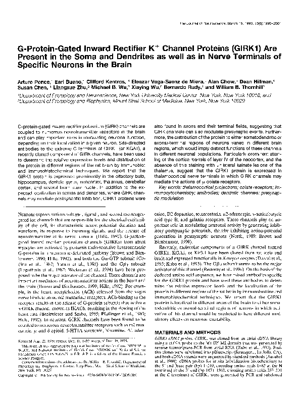 (PDF) G-Protein-Gated Inward Rectifier K+ Channel Proteins (GIRK1) Are ...