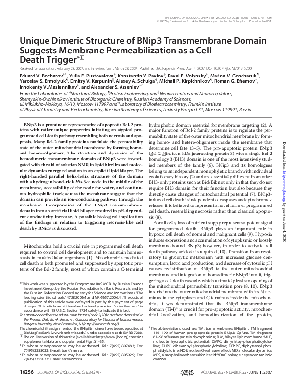 (PDF) Unique Dimeric Structure of BNip3 Transmembrane Domain Suggests ...