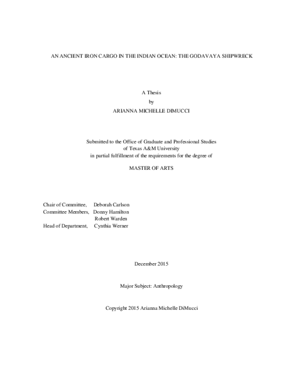 (PDF) An Ancient Iron Cargo in the Indian Ocean: The Godavaya Shipwreck