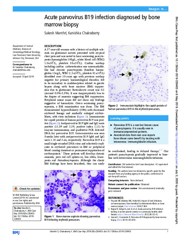 (PDF) Acute parvovirus B19 infection diagnosed by bone marrow biopsy ...