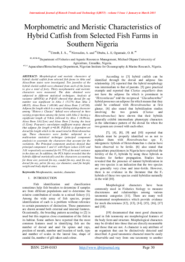 (PDF) Morphometric and Meristic Characteristics of Hybrid Catfish from ...
