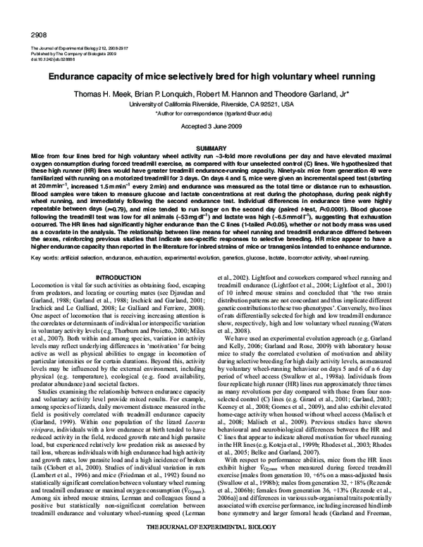 (PDF) Endurance capacity of mice selectively bred for high voluntary ...