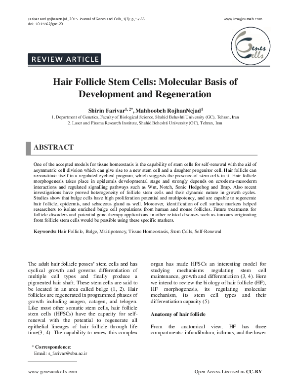 (PDF) Hair Follicle Stem Cell: Molecular Basis of Development, and ...