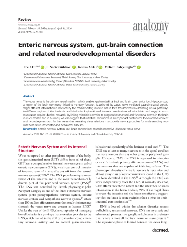 (PDF) Enteric Nervous System and Its Internal Structure