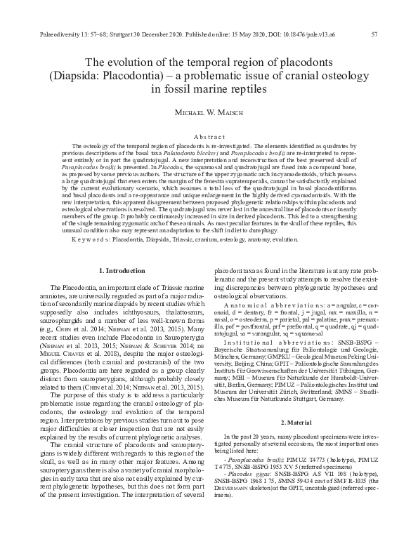 (PDF) The evolution of the temporal region of placodonts (Diapsida ...