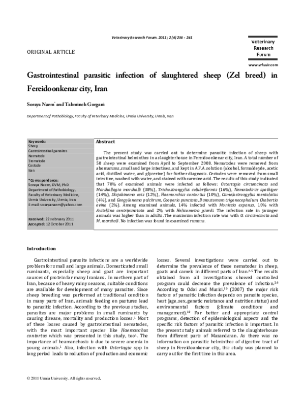 (PDF) Gastrointestinal parasitic infection of slaughtered sheep (Zel ...
