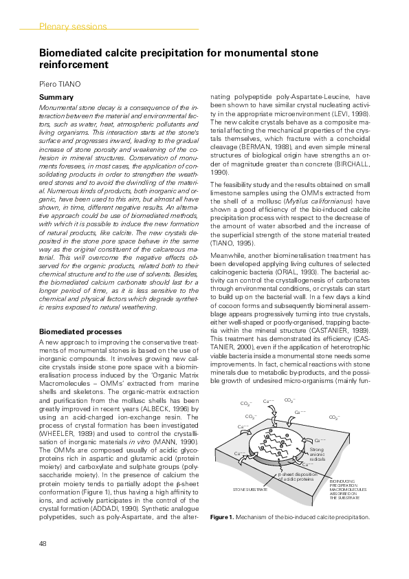 (PDF) Biomediated calcite precipitation for monumental stone reinforcement