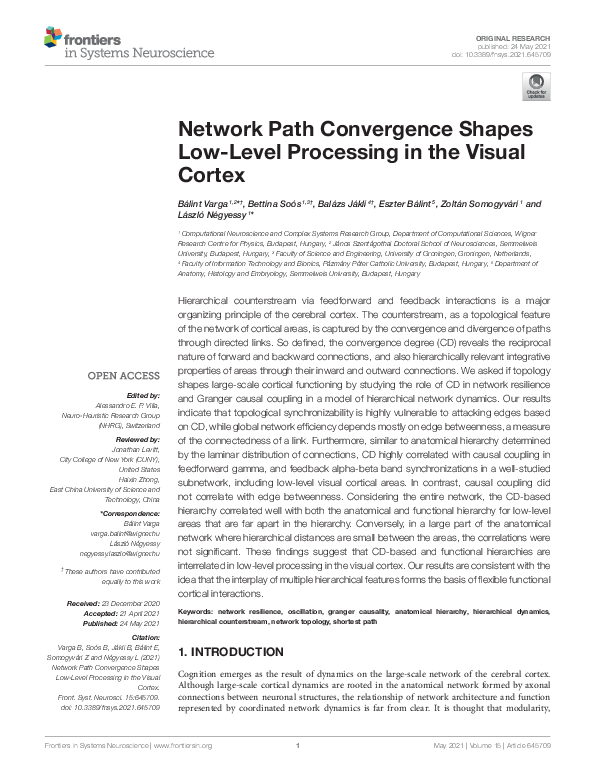 (PDF) Network Path Convergence Shapes Low-Level Processing in the ...