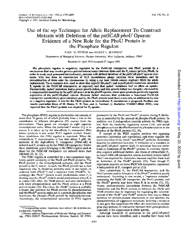 (PDF) Use of the rep technique for allele replacement to construct new ...