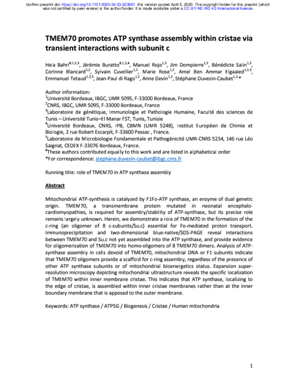 (PDF) TMEM70 forms oligomeric scaffolds within mitochondrial cristae ...