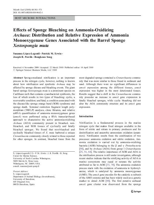 (PDF) Effects of sponge bleaching on ammonia-oxidizing Archaea ...