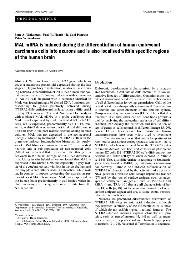 (PDF) MAL mRNA is induced during the differentiation of human embryonal ...