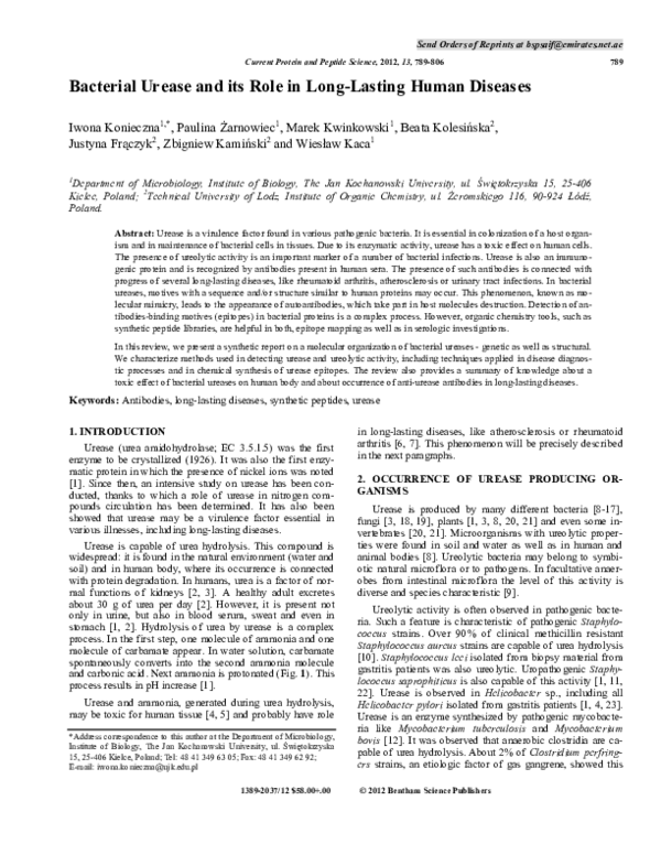 (PDF) Bacterial Urease and its Role in Long-Lasting Human Diseases